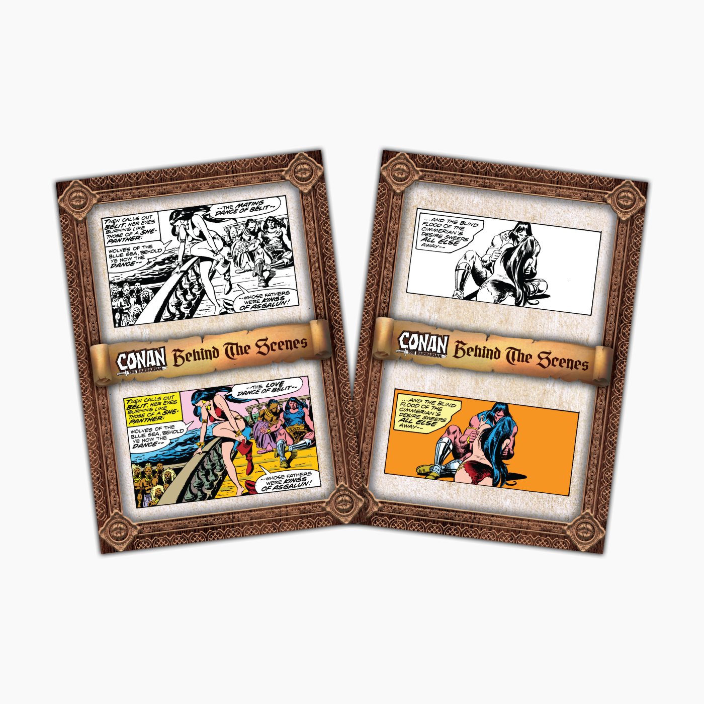 Conan the Barbarian Trading Cards — Cryptozoic Entertainment